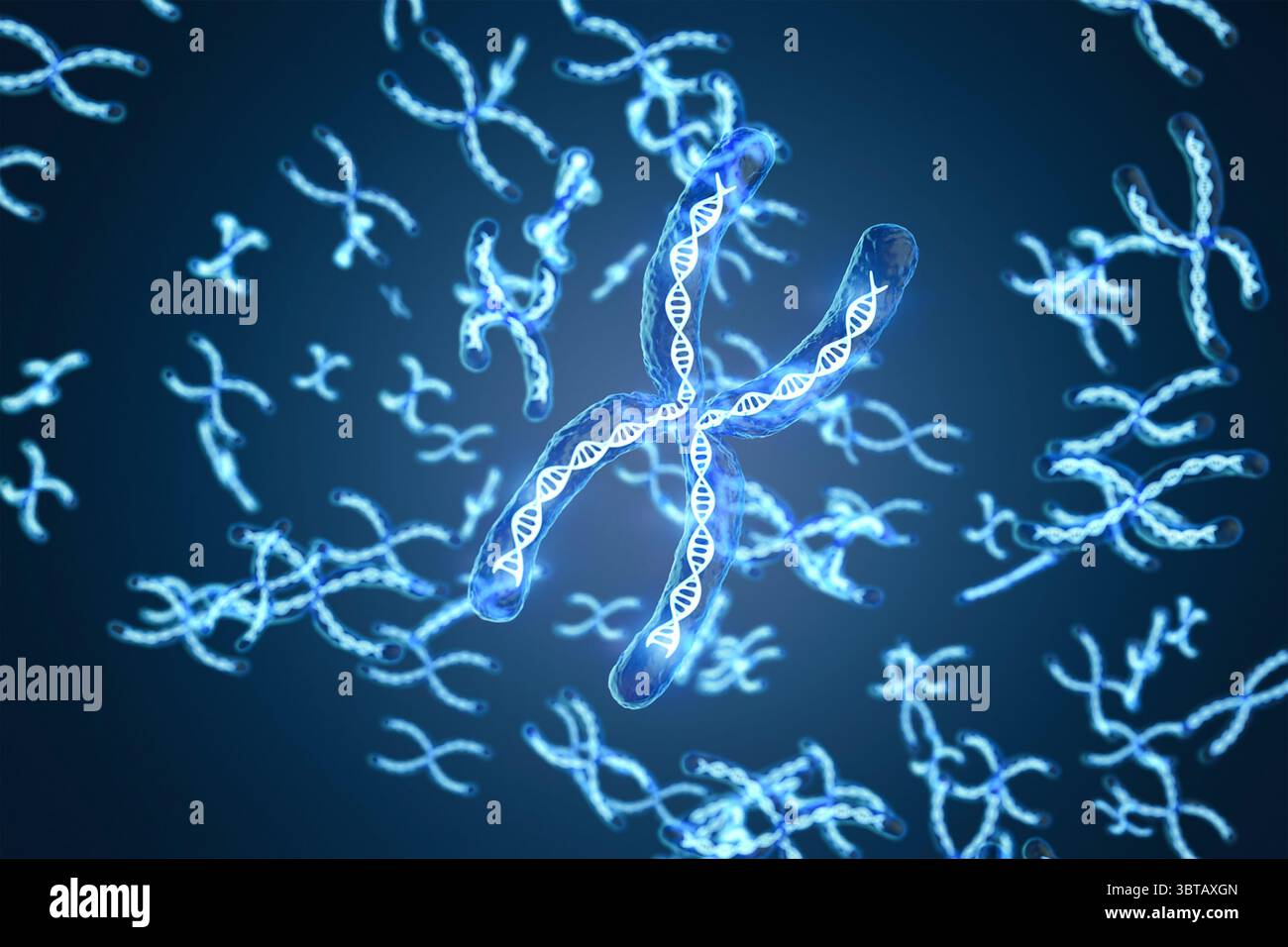 3d rendering transparent chromosome x contain dna strand inside Stock ...