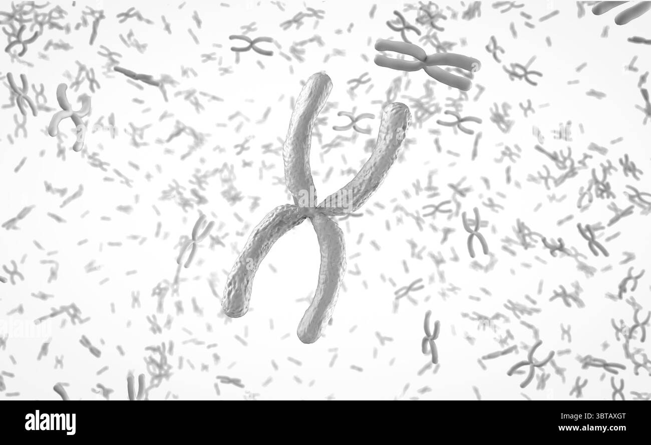 3d rendering white chromosome x through microscope on white background ...