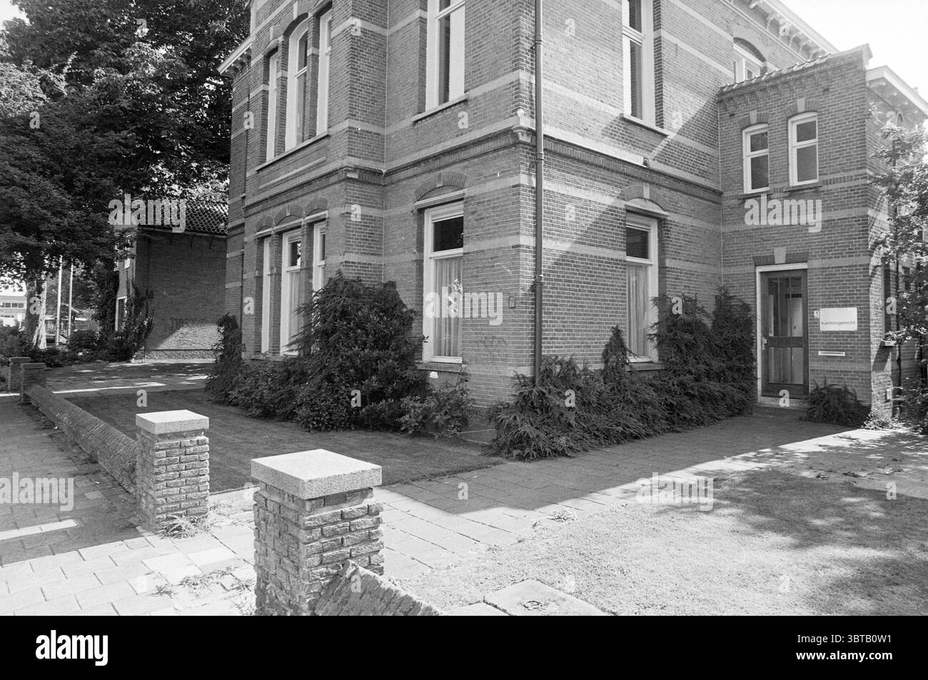 Small green lines Black and White Stock Photos & Images - Alamy