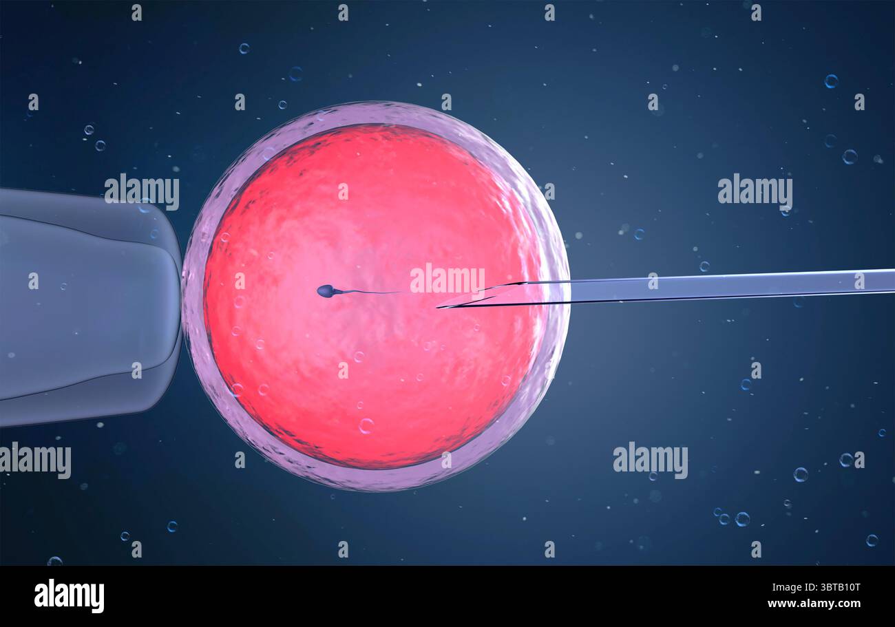 3d rendering ovum with needle for artificial insemination or in vitro fertilization process ...