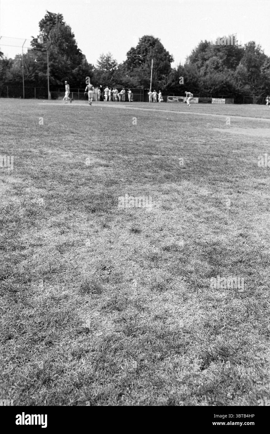 Dry baseball fields, Whizgle News, Dutch Desk, The Netherlands, 1950 ...