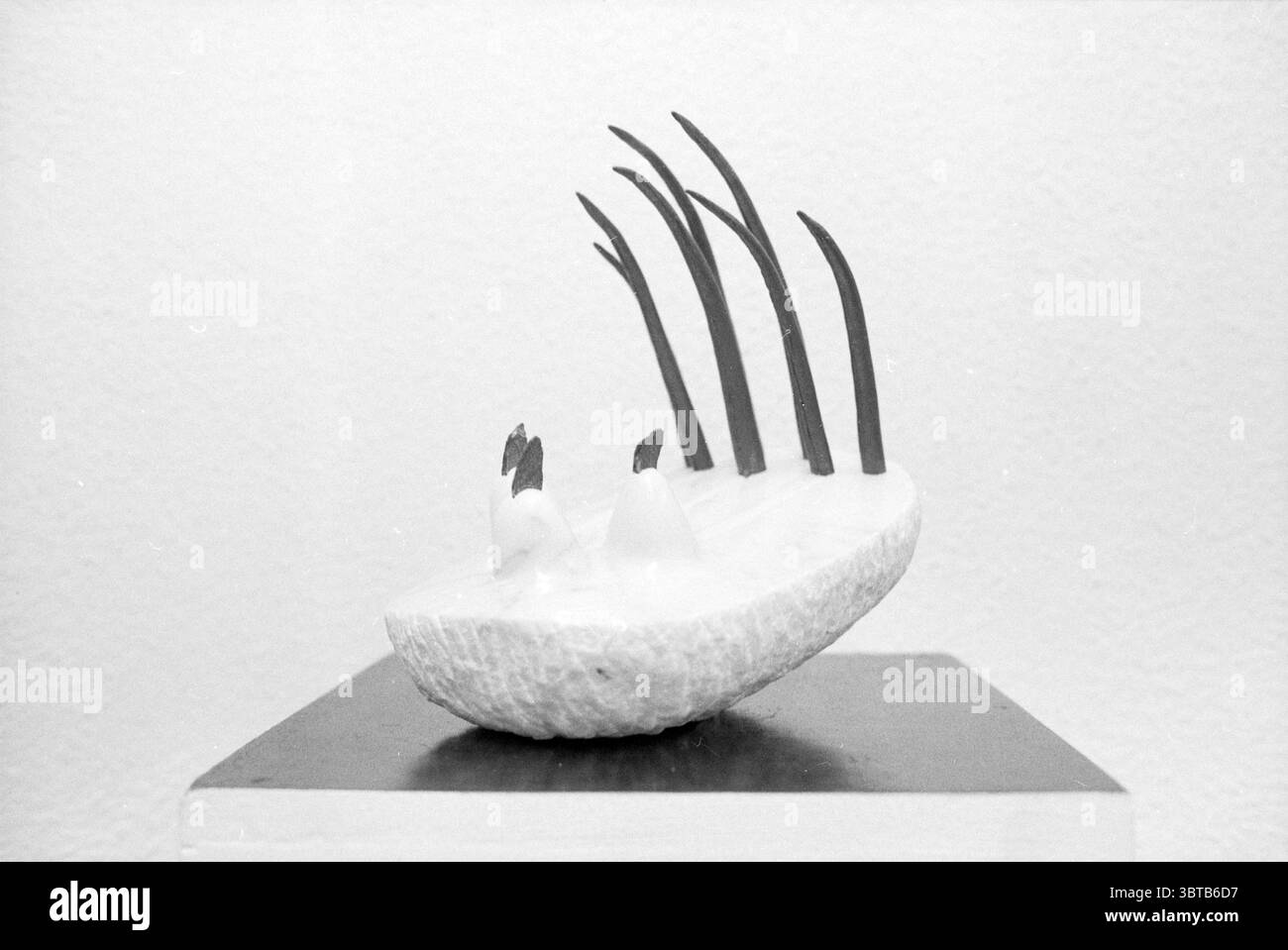 Intriguing visual tension hi-res stock photography and images - Alamy