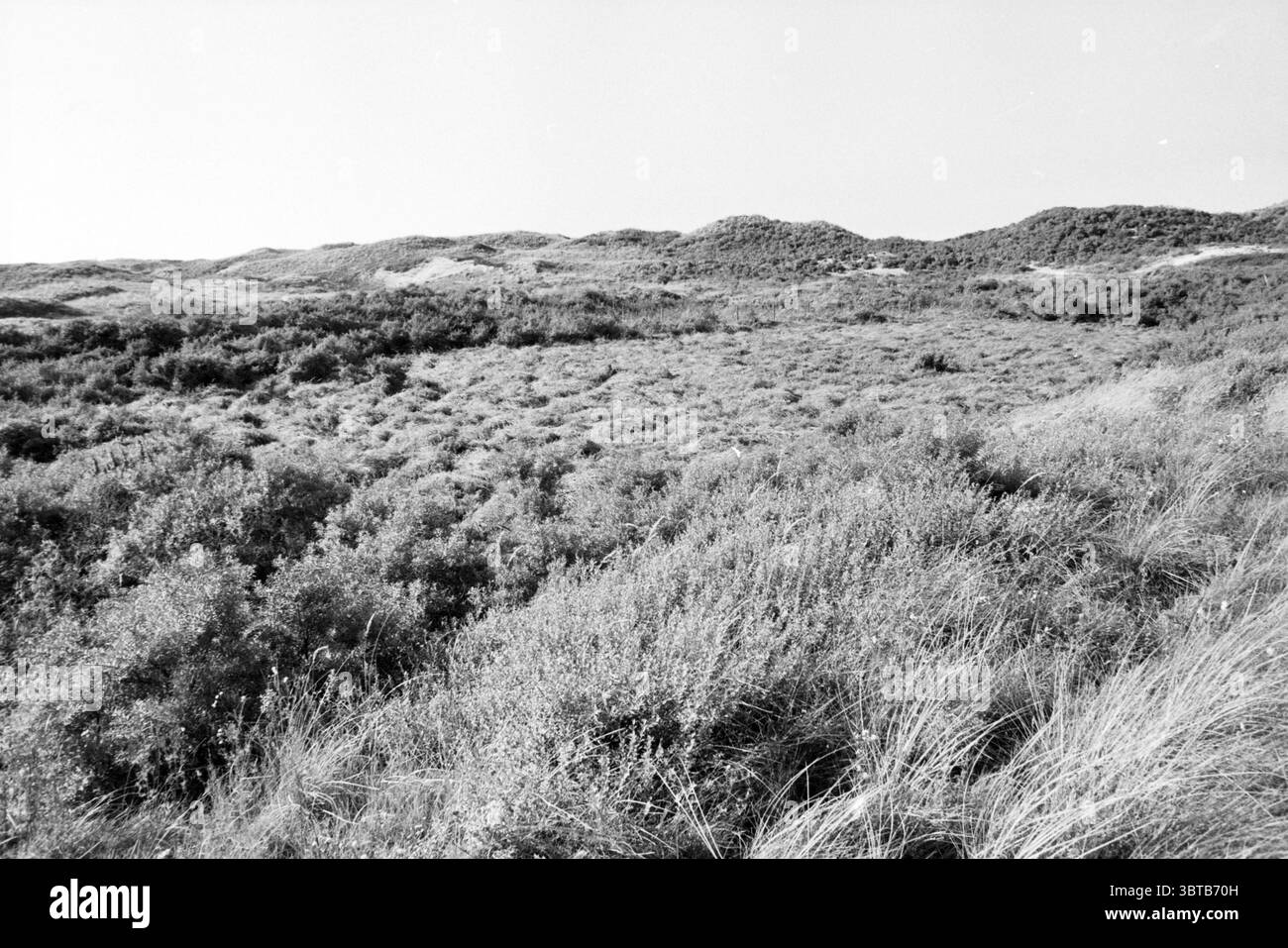 Crane plane in dunes Overveen Zandvoort Dunes Overveen, Whizgle News ...