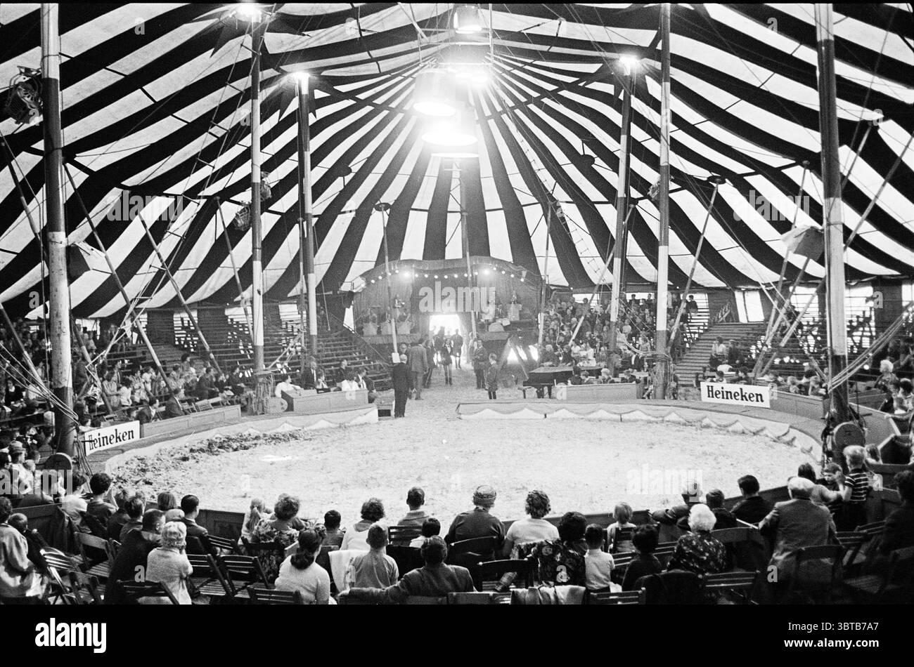 Circus Toni Boltini and shooting bear Circus, Whizgle News, Dutch Desk ...