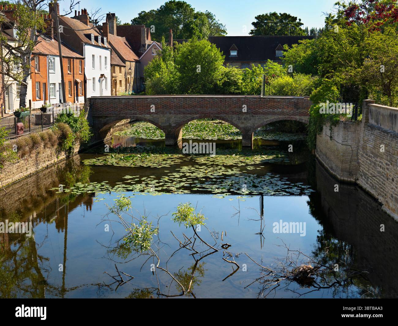 Bridge and lily pads on a stagnant backwater of the Thames at Abingdon ...