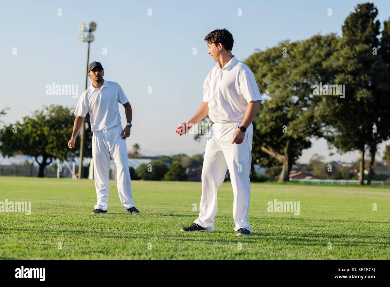 Diverse male teammates in uniforms standing on cricket pitch under ...