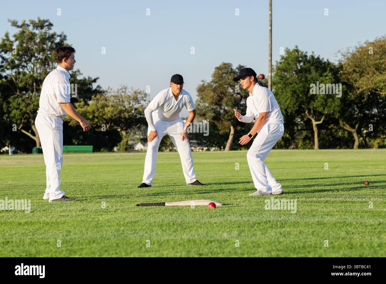 Male cricket players standing on green grass field wearing caps with ...