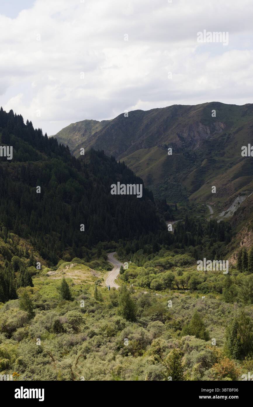 Drowning mountains in the forest. Drowning mountains in the forest ...