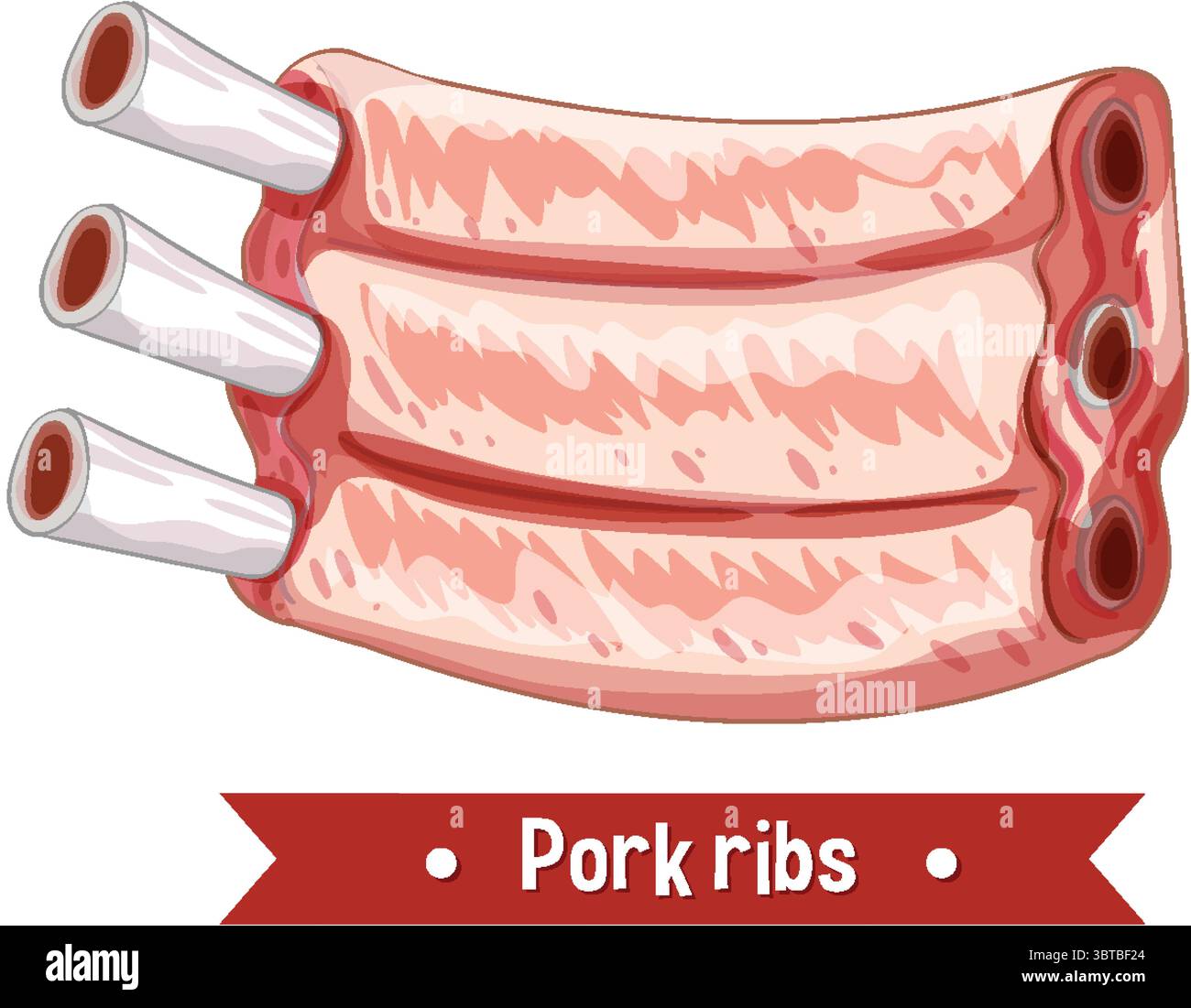 Detailed vector illustration of pork ribs with a focus on texture and ...
