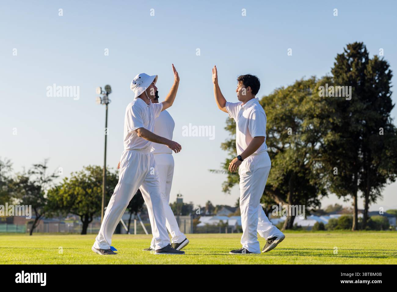 Diverse male teammates celebrating by high-fiving on suburban cricket ...