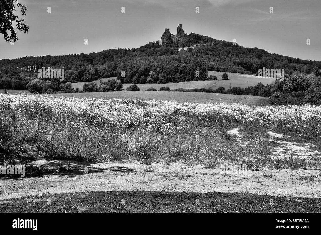 Paradise day Black and White Stock Photos & Images - Alamy
