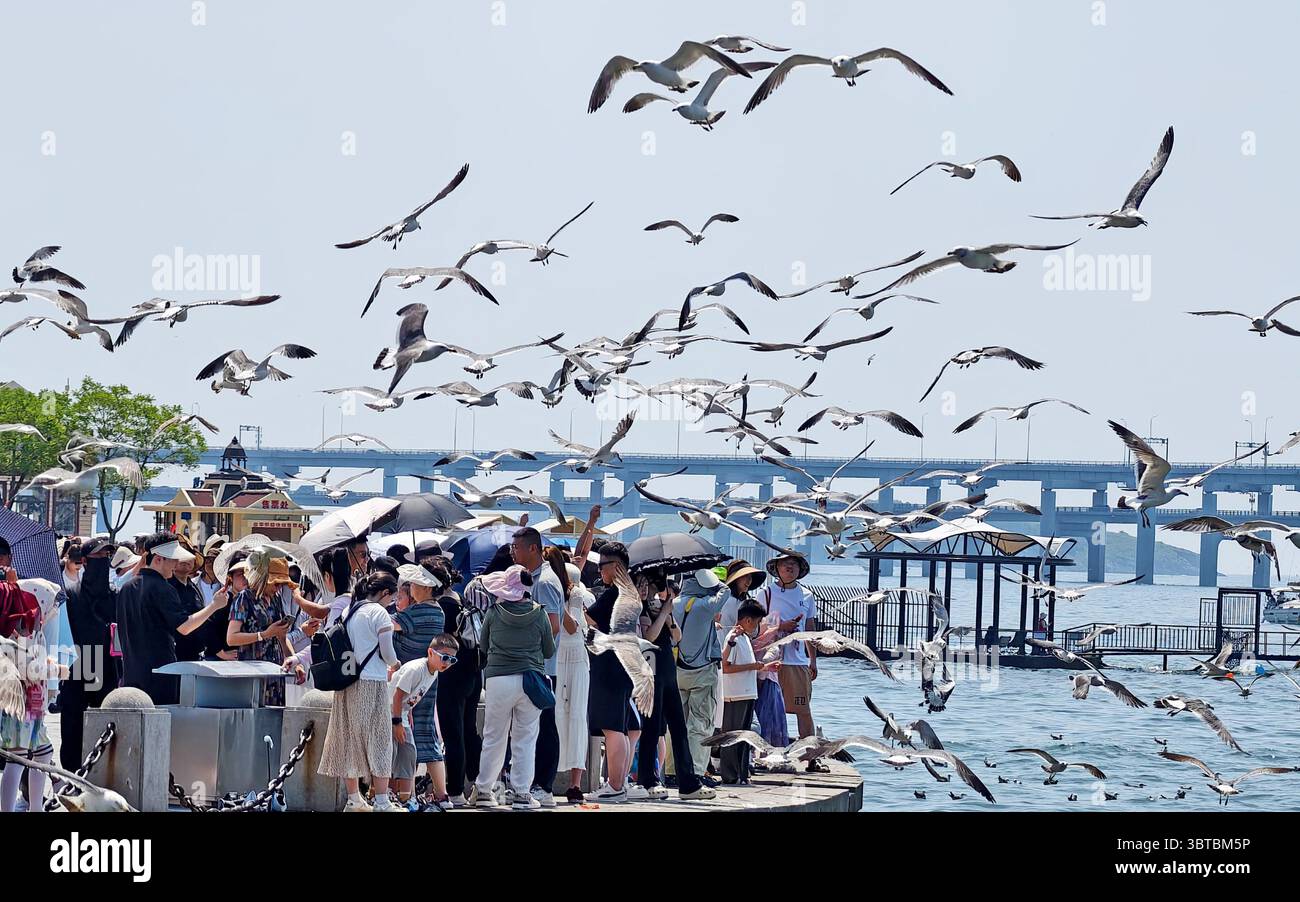 Tourists visit the Xinghai Bay scenic area in Dalian City, northeast ...