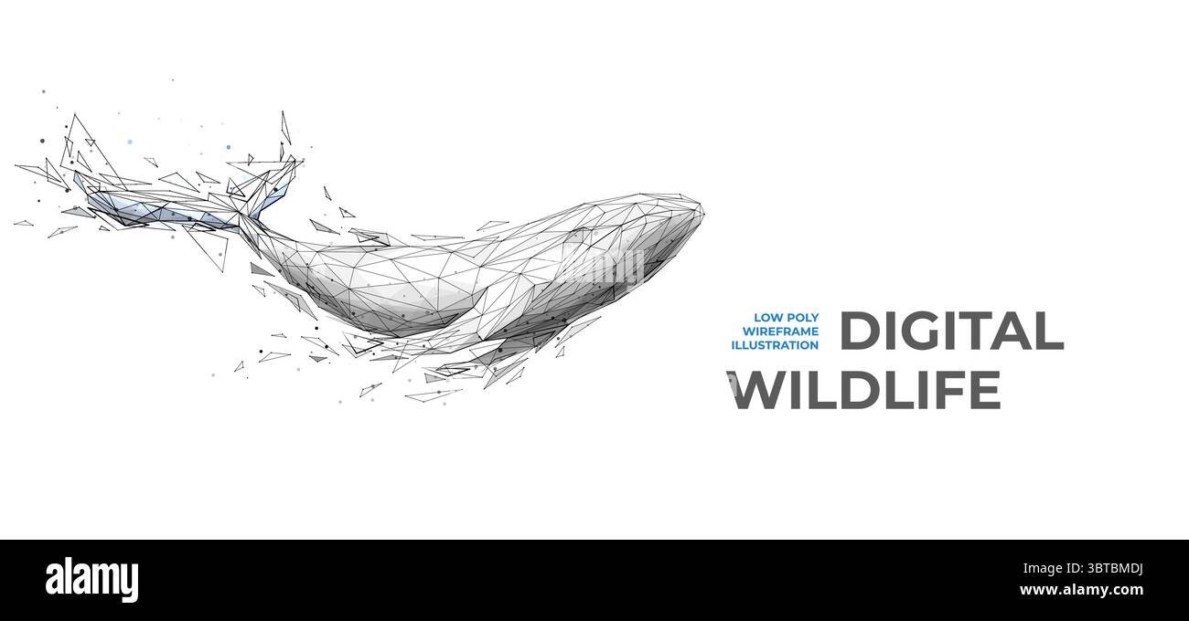 Abstract Geometric Low Poly Wireframe Blue Whale in Motion Stock Vector ...