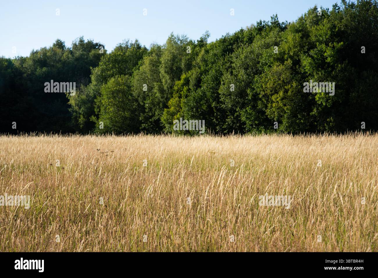 Donisthorpe colliery hi-res stock photography and images - Alamy