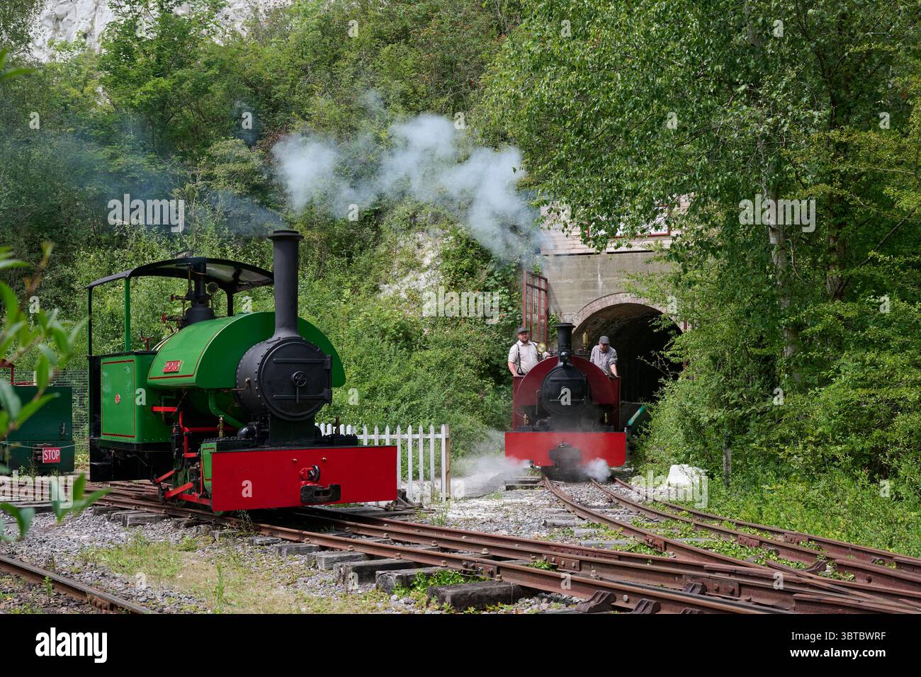 Narrow Gauge steam at Amberley Chalk Pits Stock Photo - Alamy