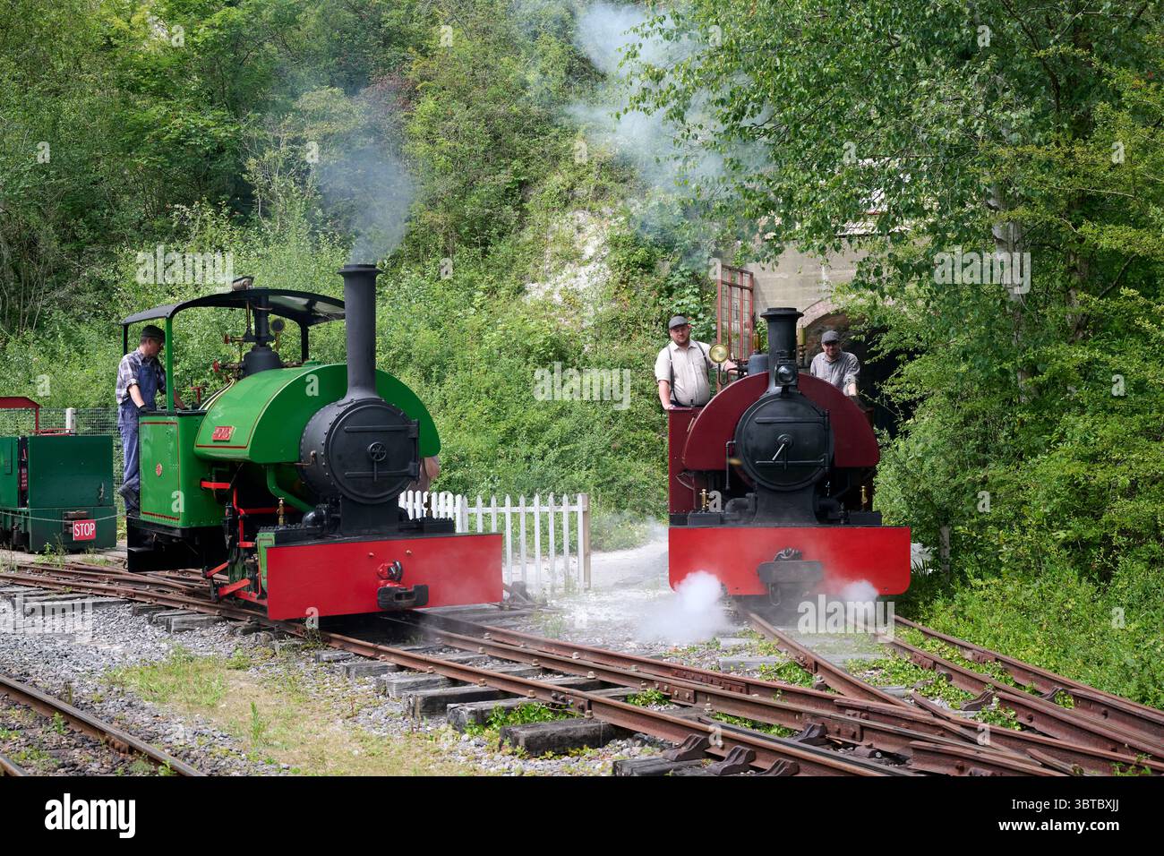 Narrow Gauge steam at Amberley Chalk Pits Stock Photo - Alamy