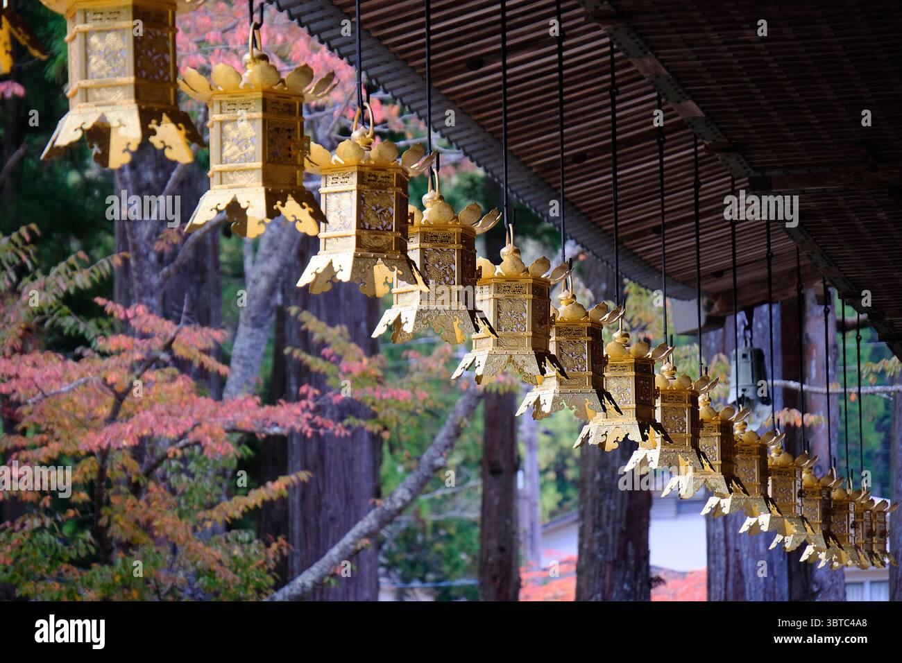 Japanese religious culture hi-res stock photography and images - Alamy