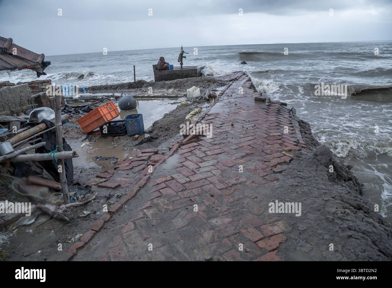 Mangrove forest in swampy area hi-res stock photography and images - Alamy