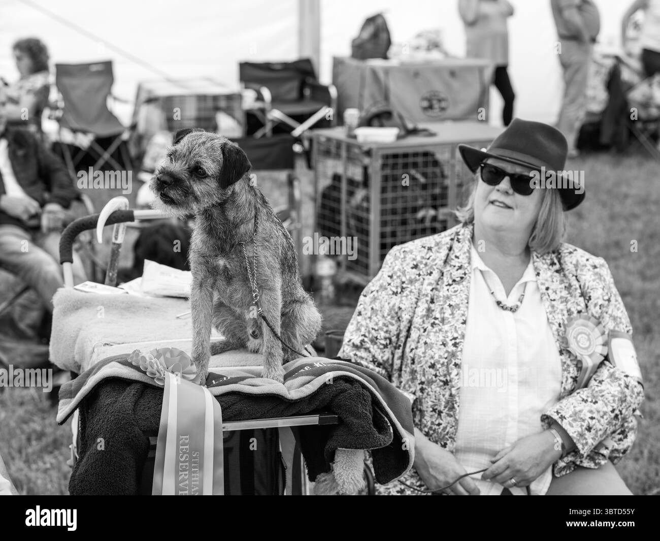 Stithians Show Cornwall July 2025 Stock Photo - Alamy