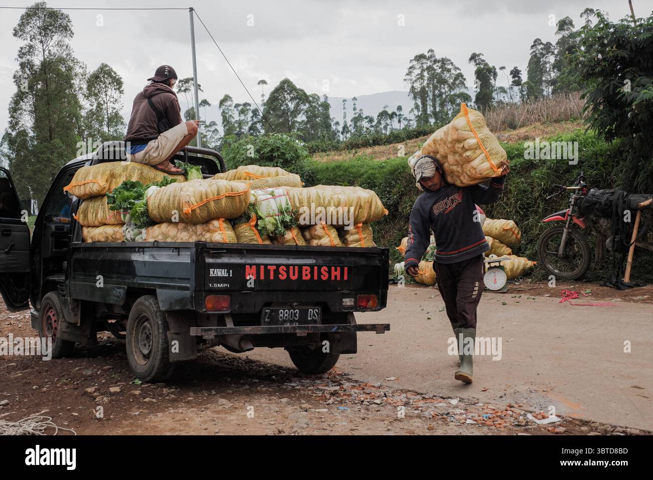July 15, 2025, Garut, West Java, Indonesia: Farmers load mustard greens ...