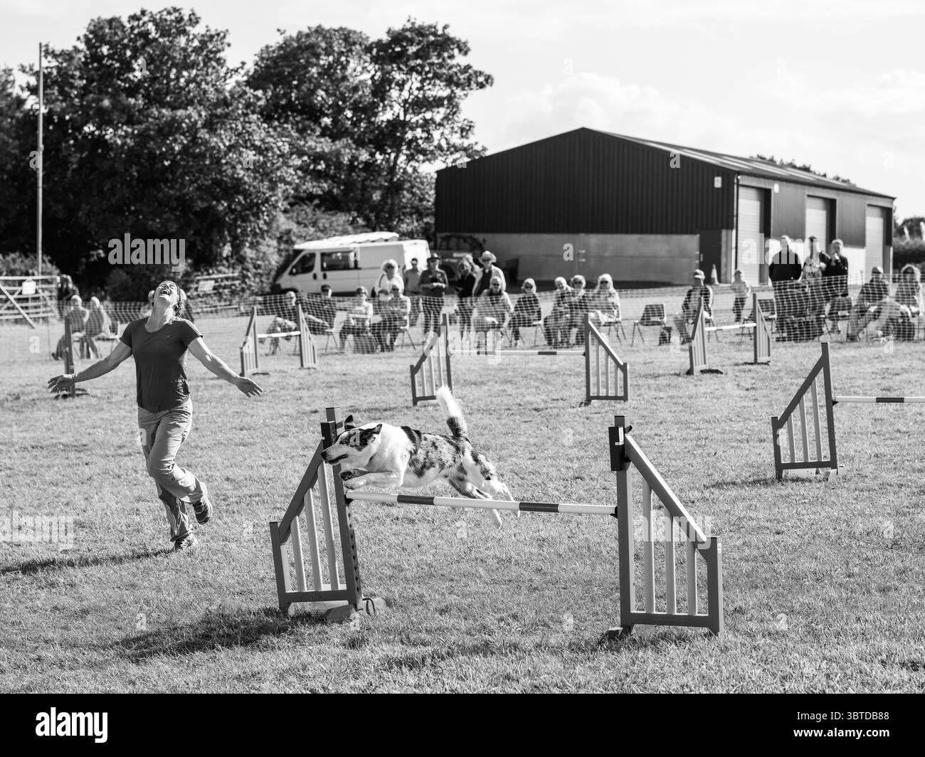 Stithians Show Cornwall July 2025 Stock Photo - Alamy