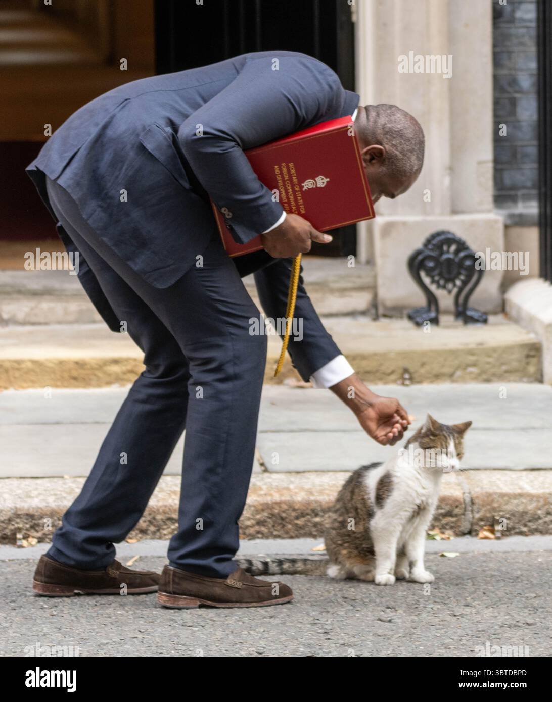 David lammy and larry the cat hi-res stock photography and images - Alamy