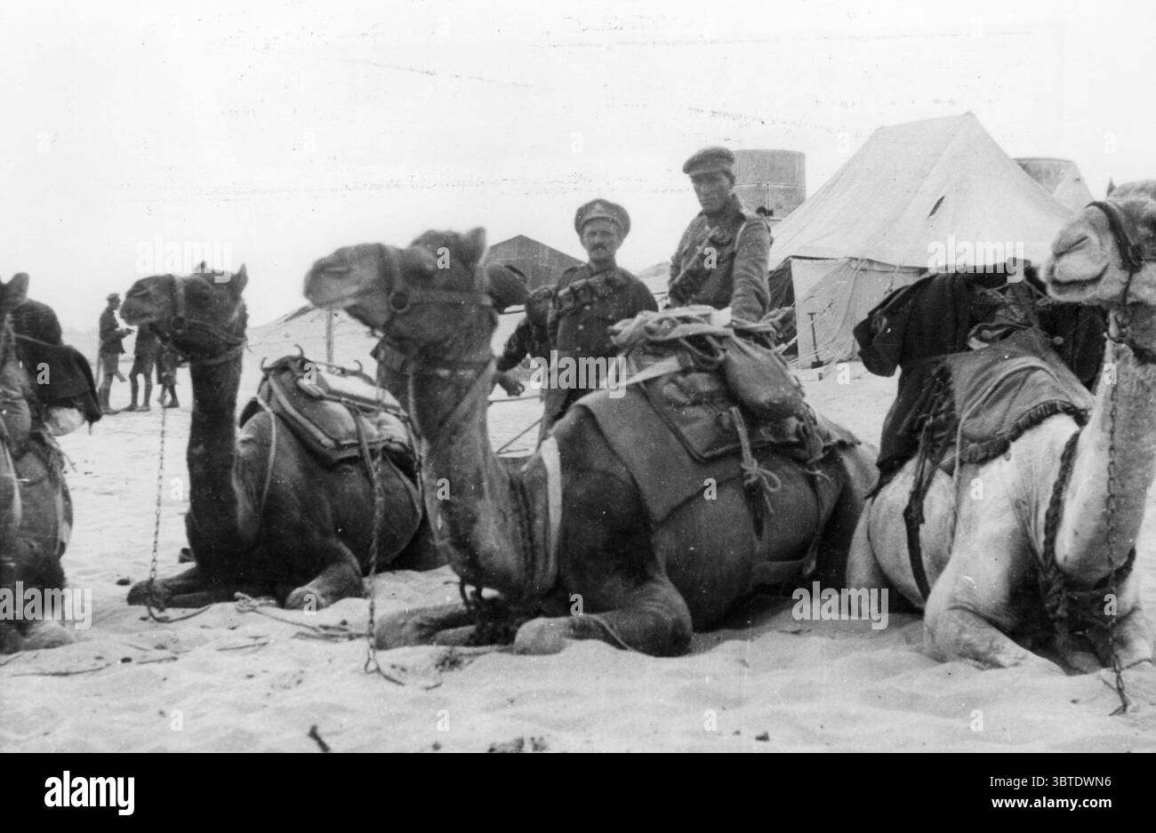 El arish sinai Black and White Stock Photos & Images - Alamy