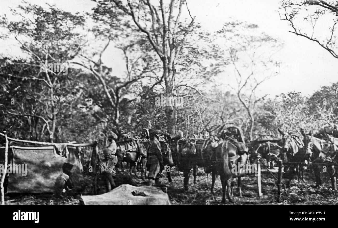 South african border war hi-res stock photography and images - Alamy