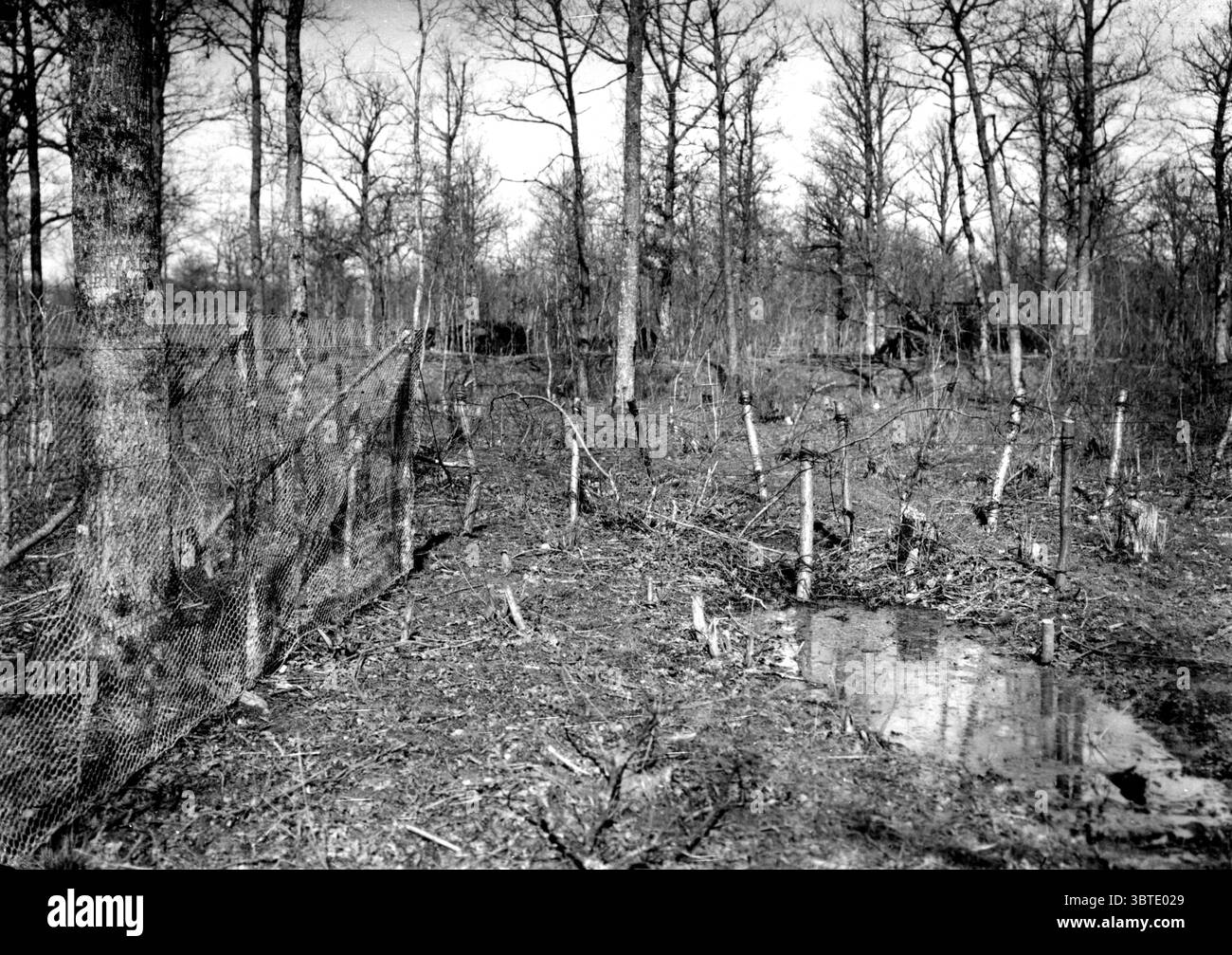 Was bombarded Black and White Stock Photos & Images - Alamy