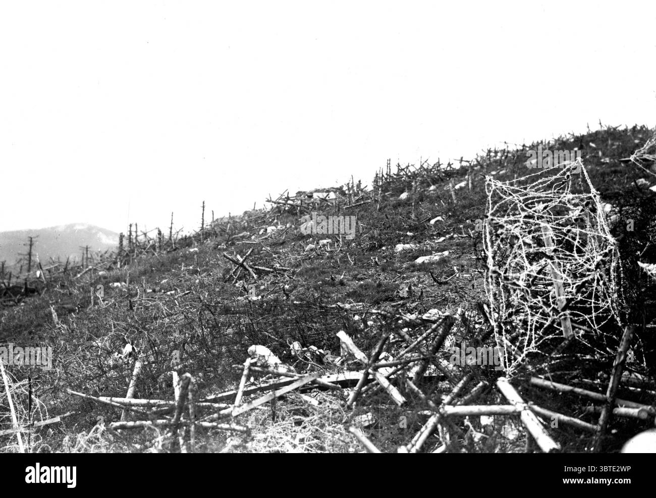 Ww1 battlefield barbed wire hi-res stock photography and images - Alamy
