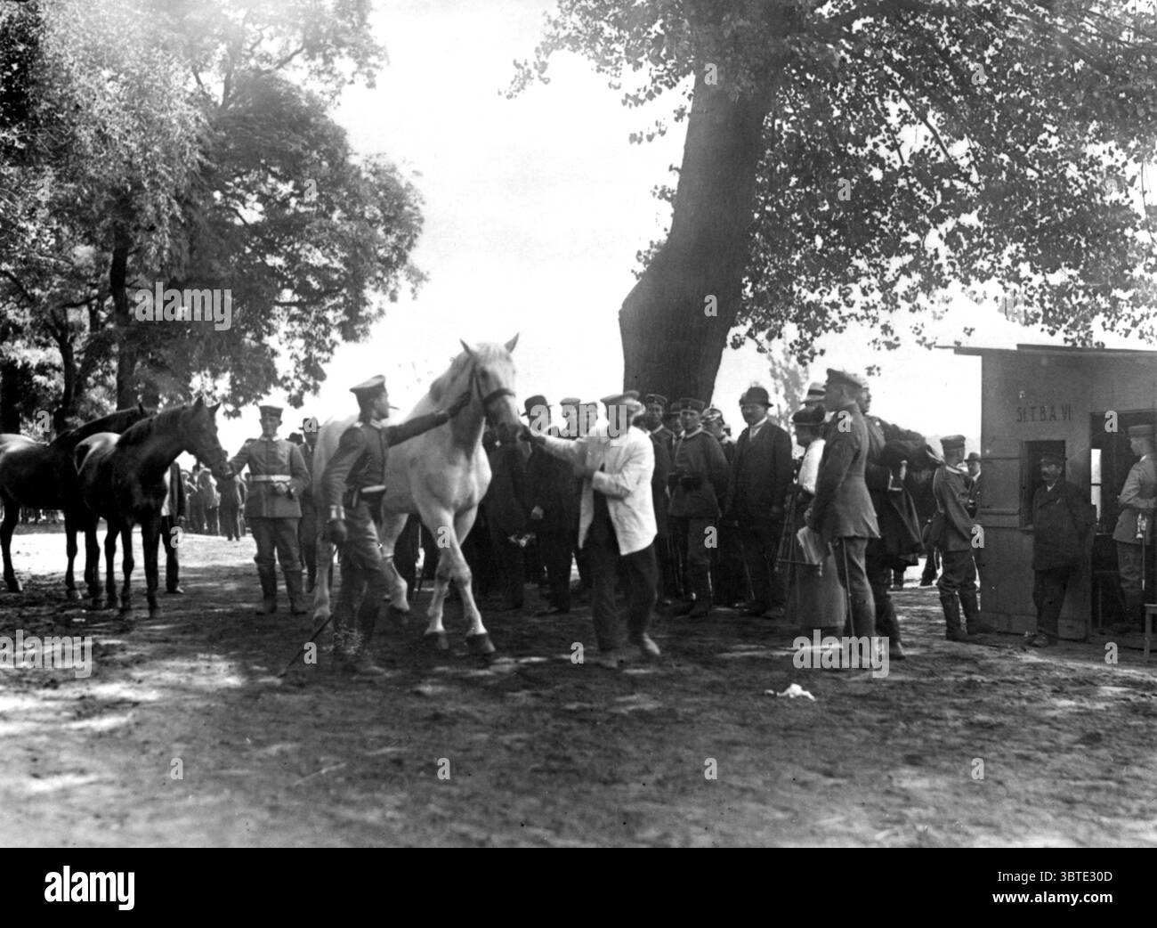 Ww1 inspection Black and White Stock Photos & Images - Alamy