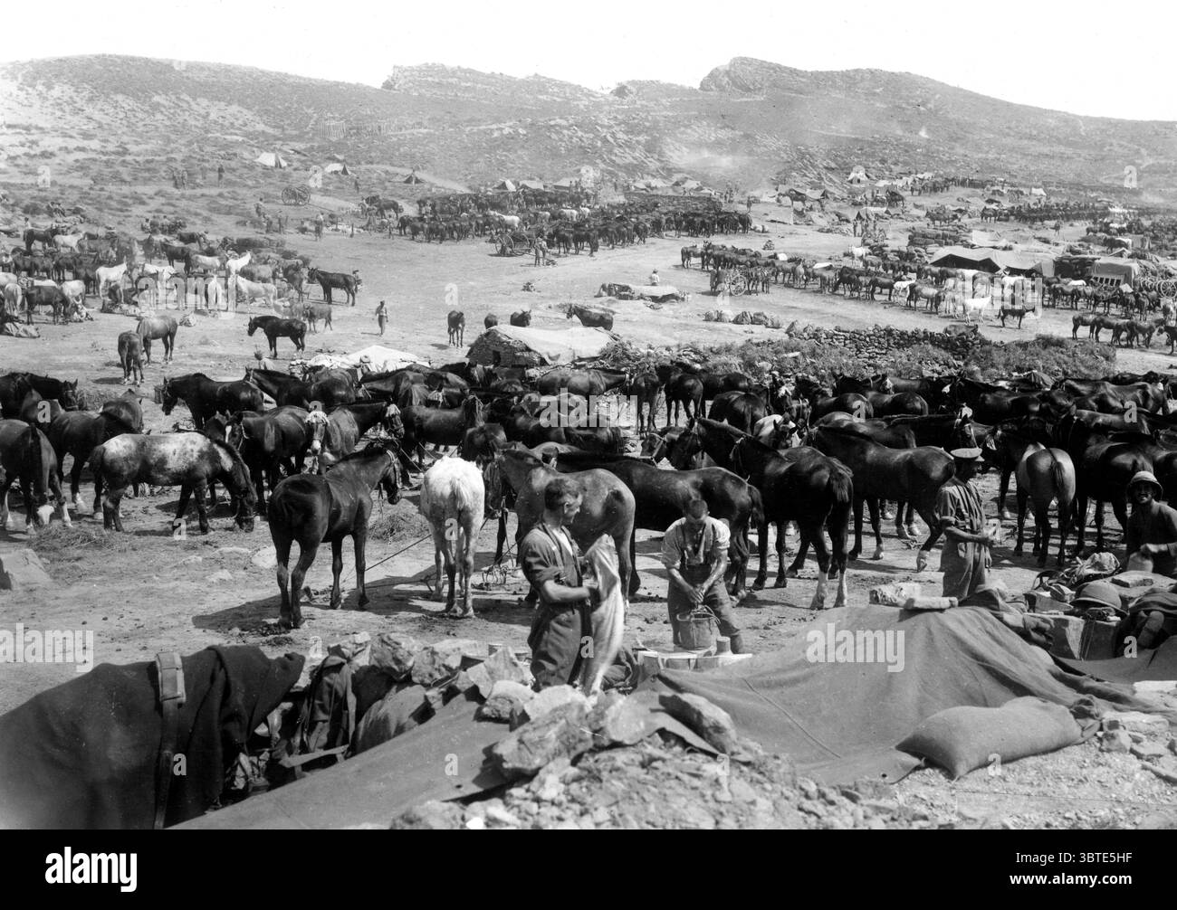 Horses landed at Sulva Beach .The high ground of Kiretoh Dagh in ...