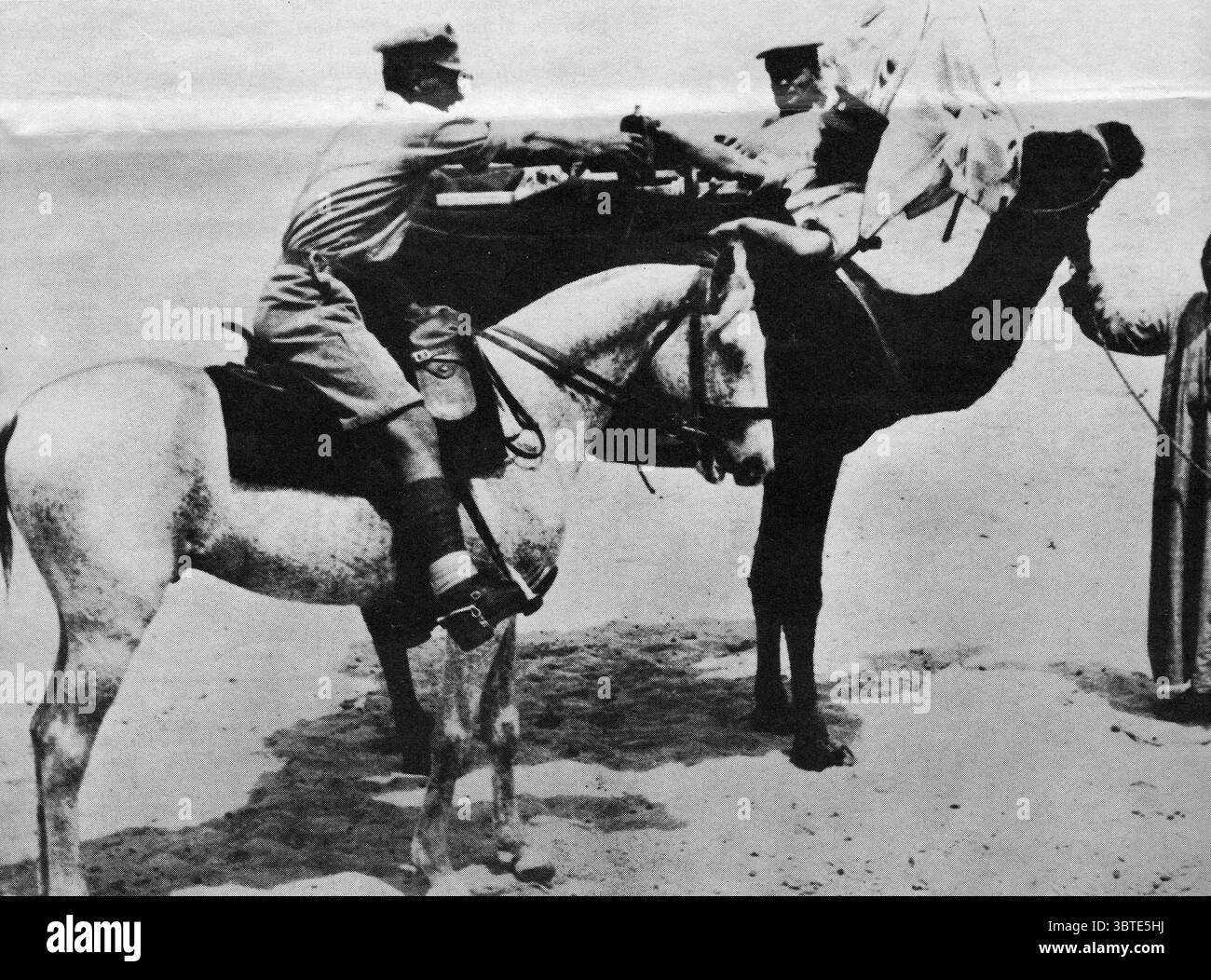 Camel ambulance hi-res stock photography and images - Alamy