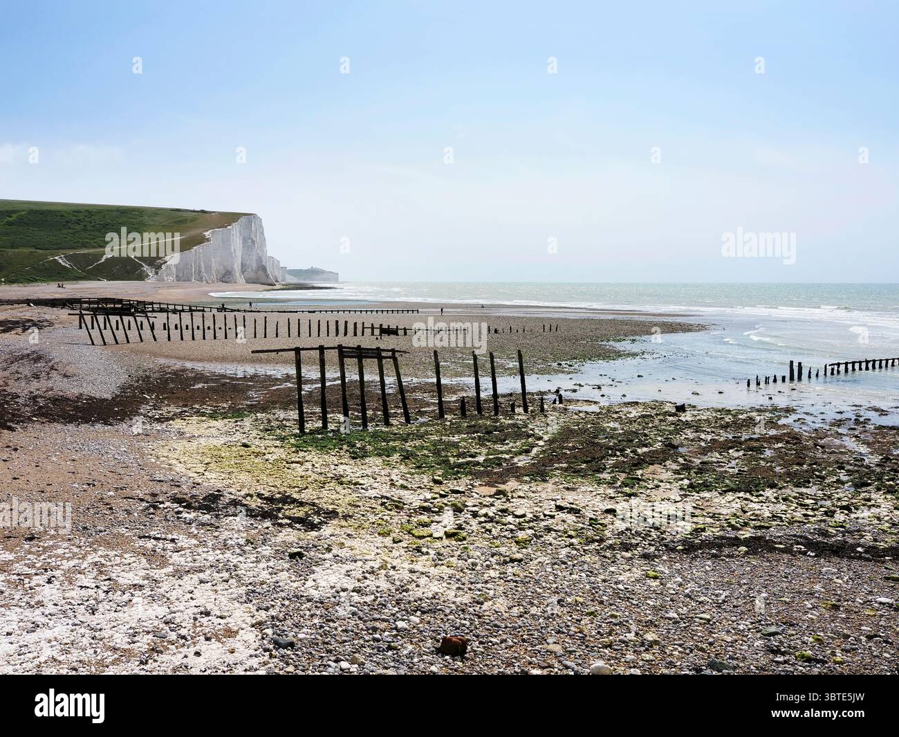 Old groynes on the beach with Seven Sisters Cliffs beyond at Cuckmere ...