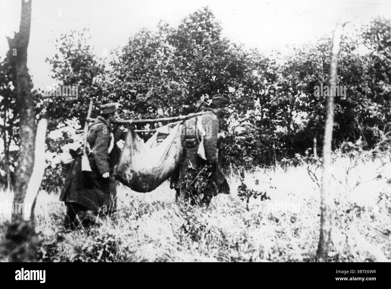 The Battle of Cer . Transportation of wounded soldiers . 1914 Stock ...