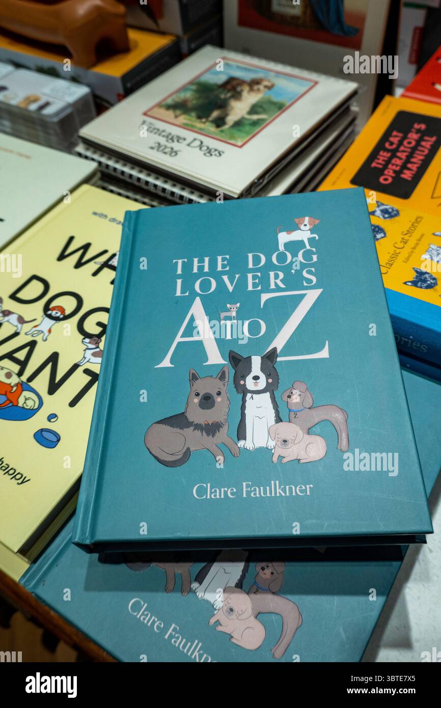 Clare faulkner hi-res stock photography and images - Alamy