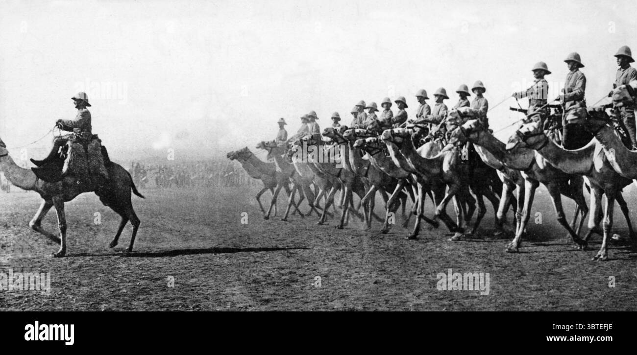 Camel Corps charging over sands of Egypt near Suez WWI Stock Photo - Alamy