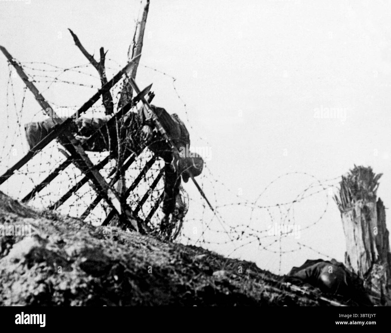 WW1 - Barbed Wire Stock Photo - Alamy