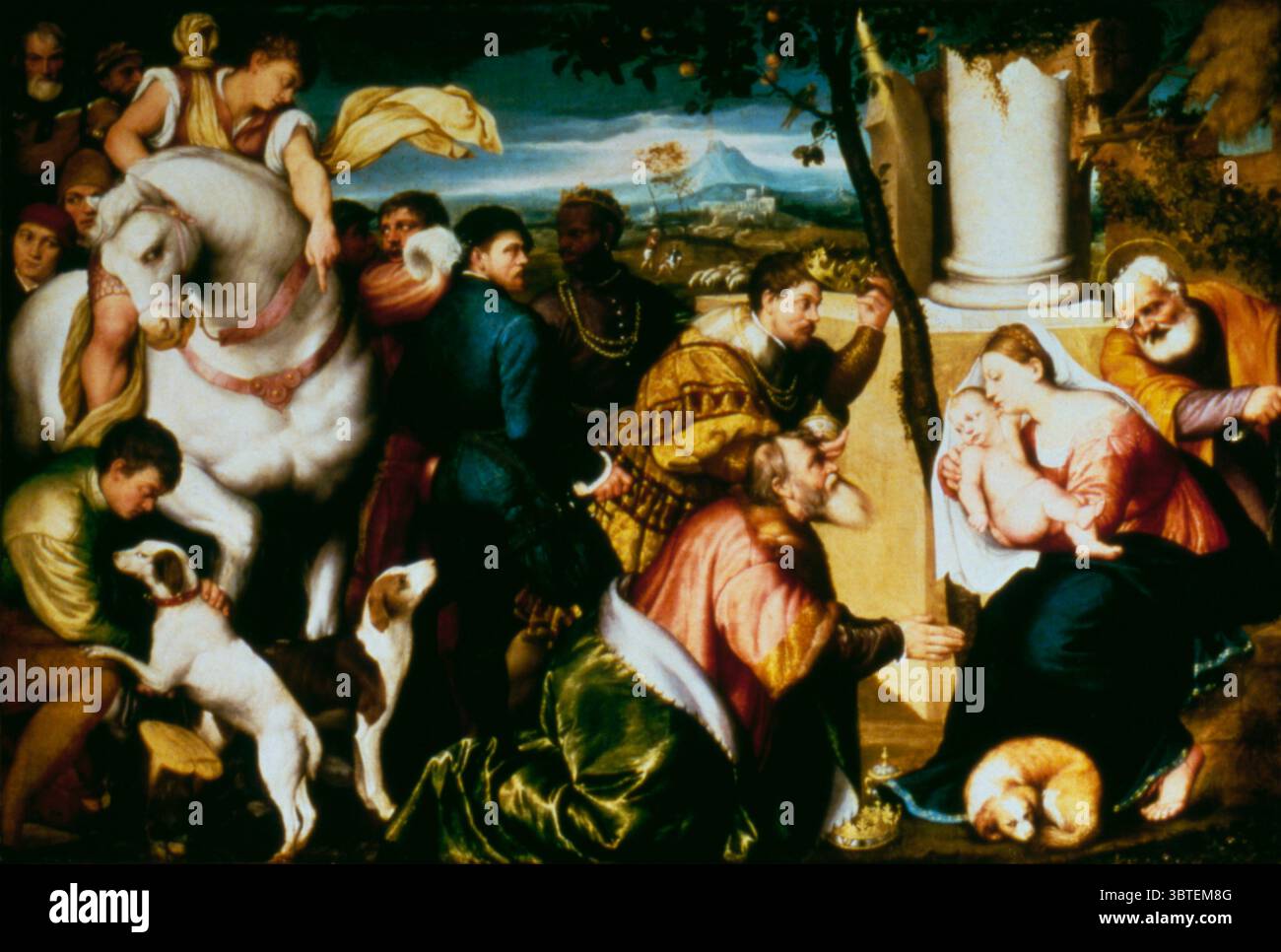Mature mannerism hi-res stock photography and images - Alamy