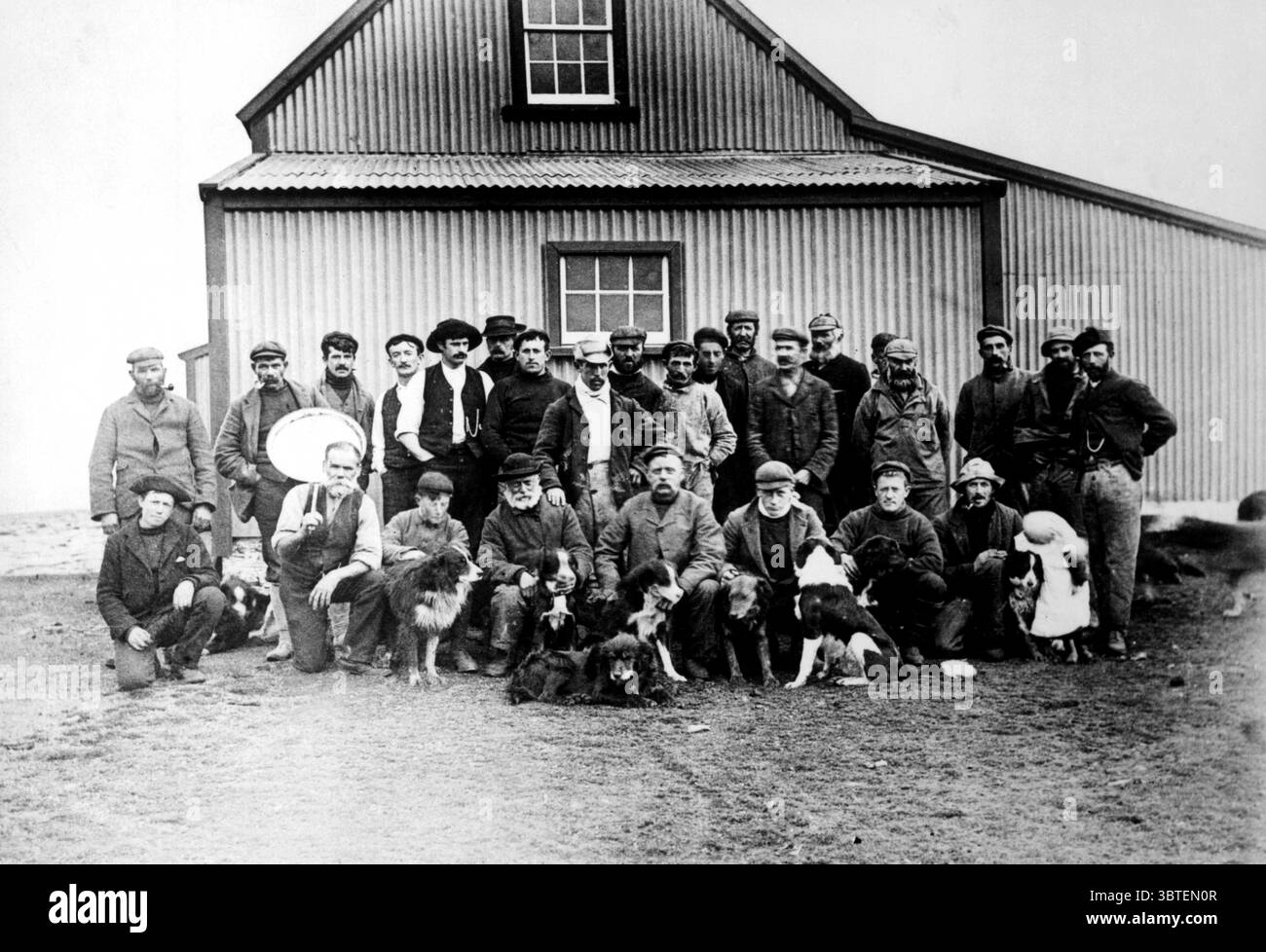 Falkland Islands, Port Stanley showing a group of Sheep Shearers with ...