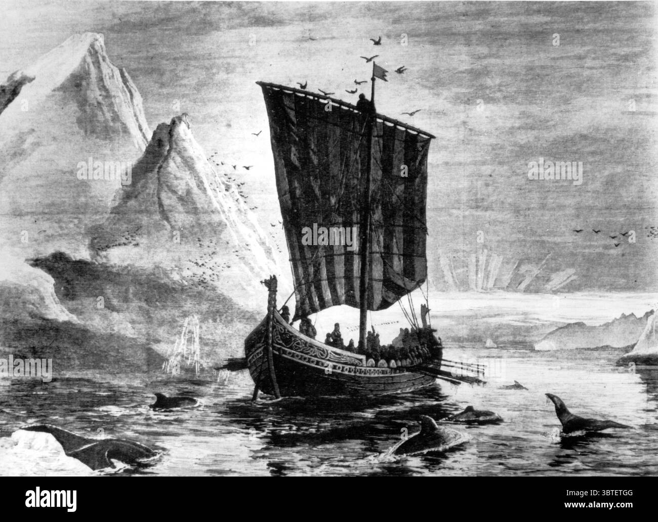 Viking long boat by Carl Rasmussen. Discovery of Greenland AD 938 Stock ...