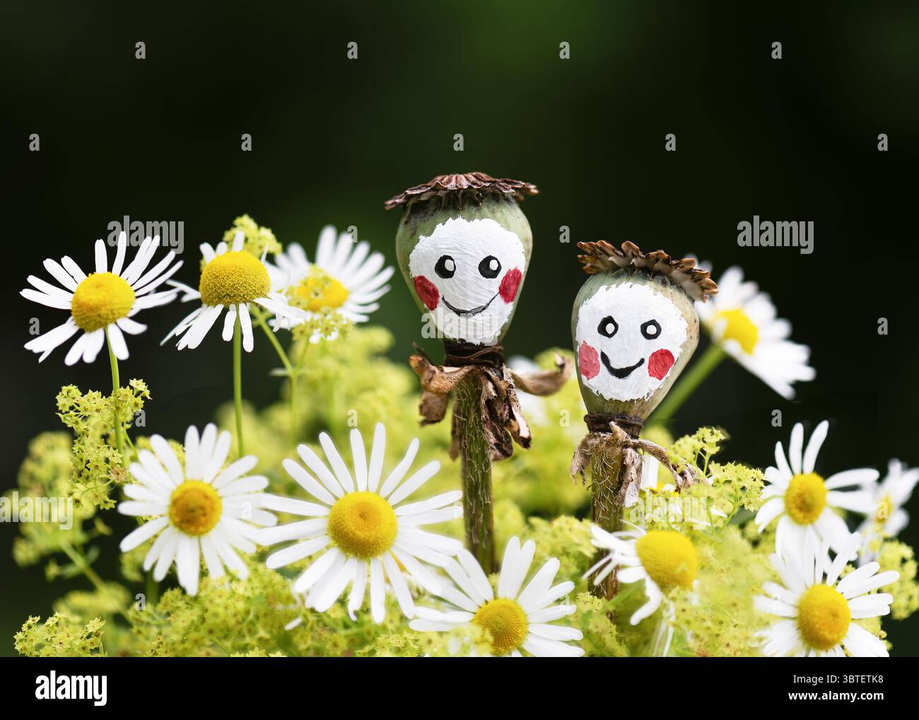 Happy little pair of smiling poppy seed heads with painted faces in a ...