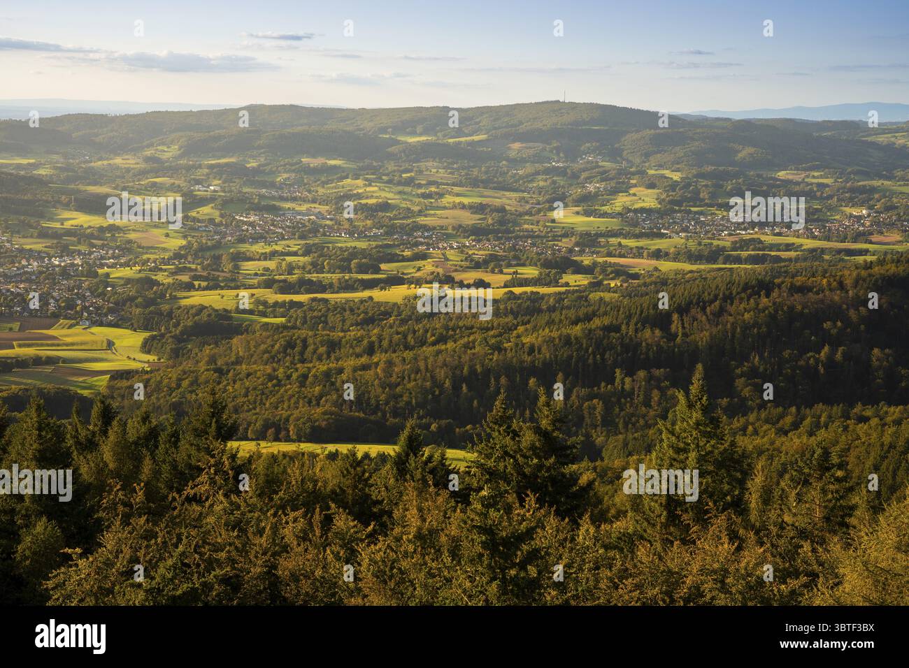 View of the Odenwald from the drum tower in Rimbach. Towns, forest ...