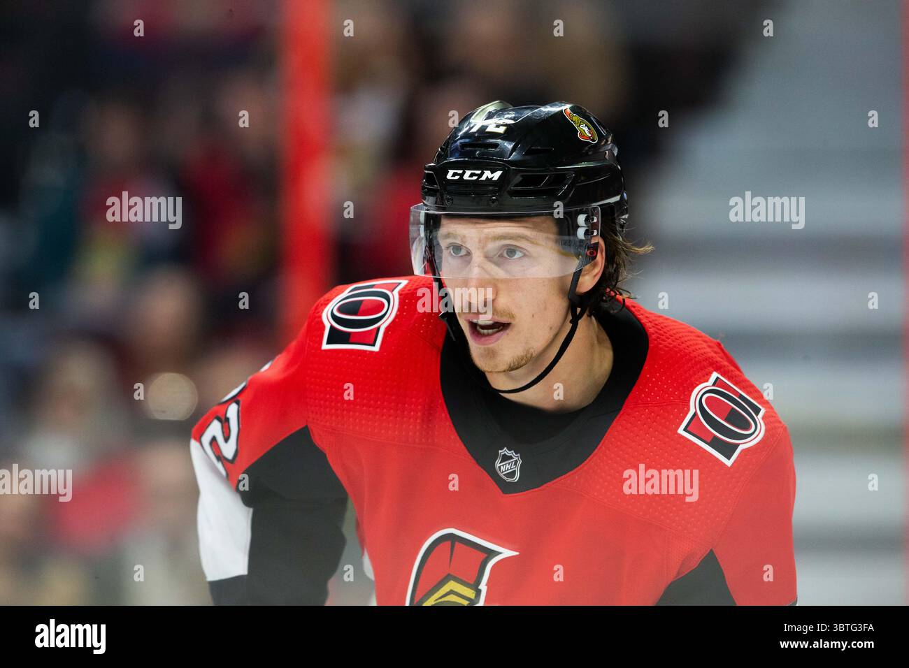 St louis blues senators hi-res stock photography and images - Alamy