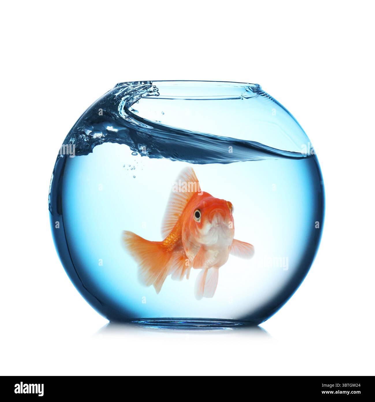 Ocean wave in round Cut Out Stock Images & Pictures - Alamy