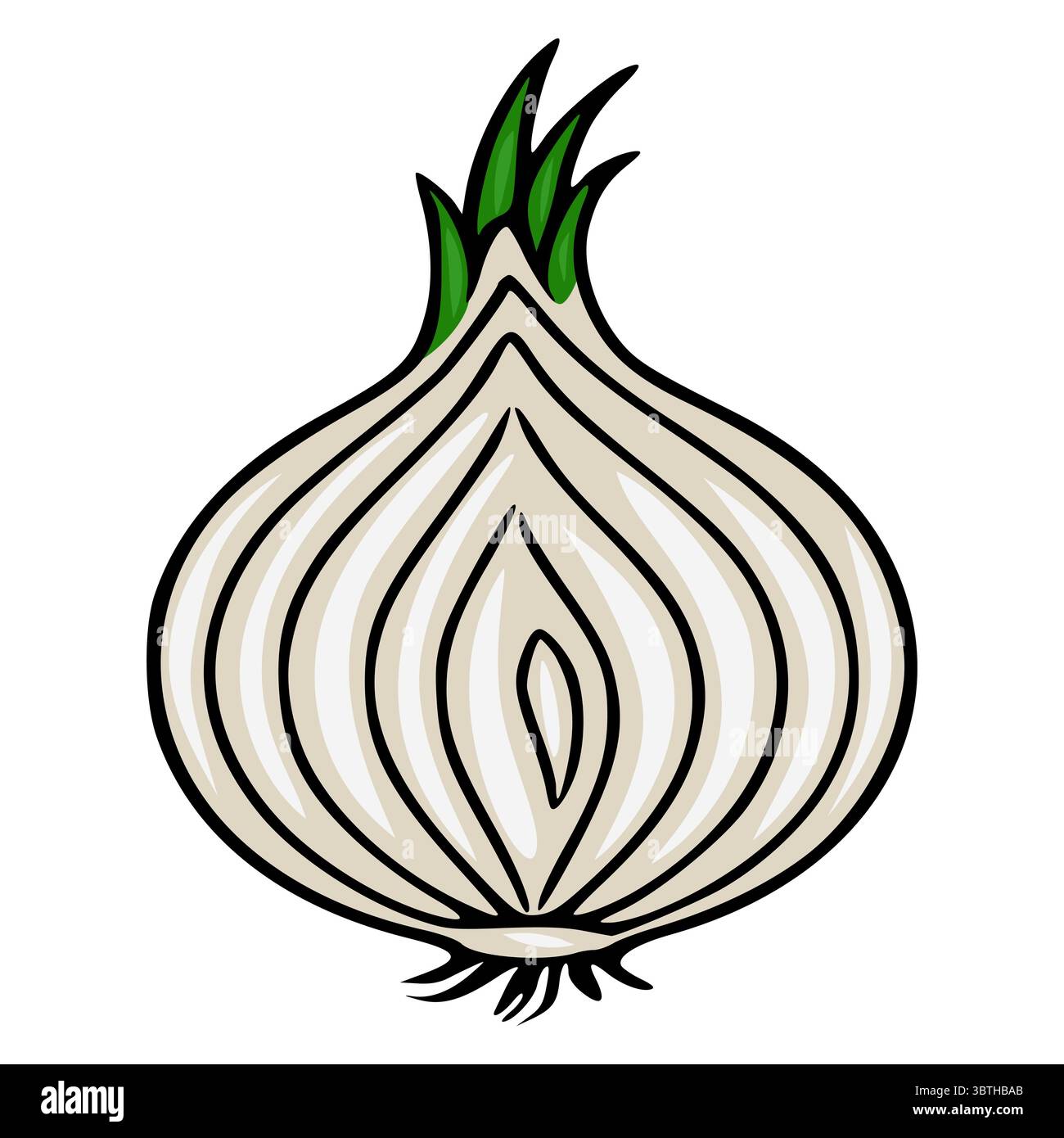 A detailed vector illustration of a halved onion with a stylized ...