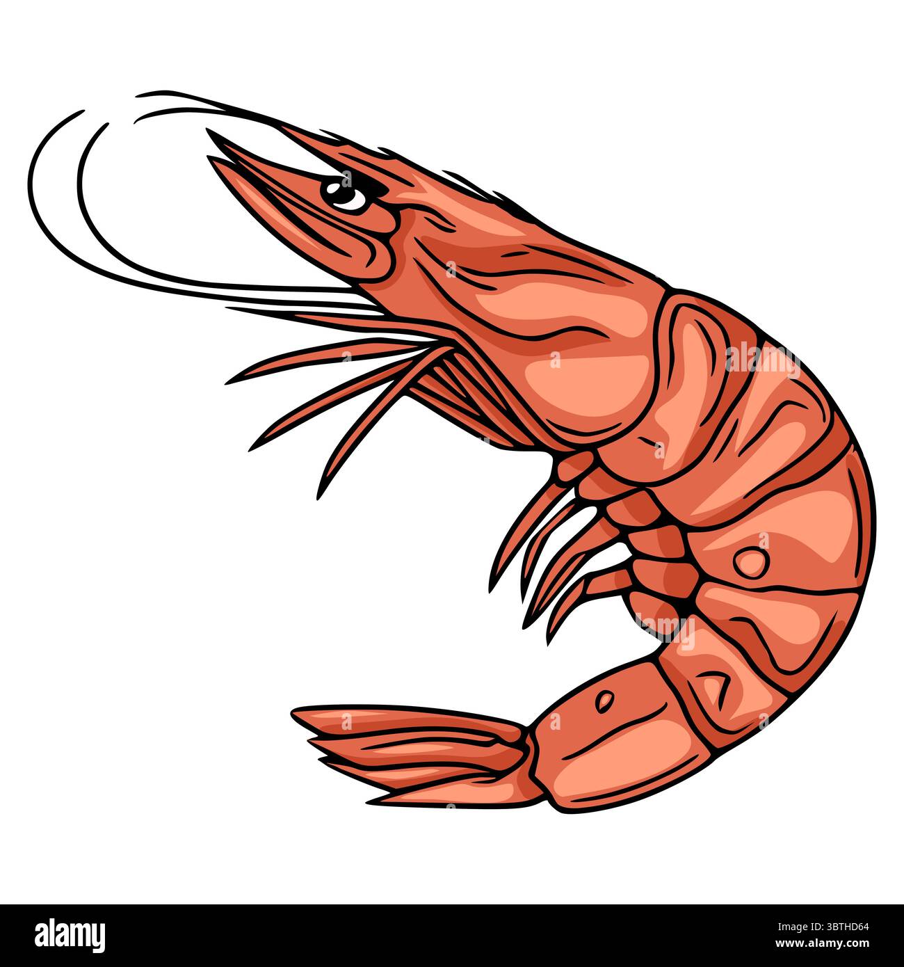 A vibrant vector illustration of a single, stylized shrimp, depicted in ...