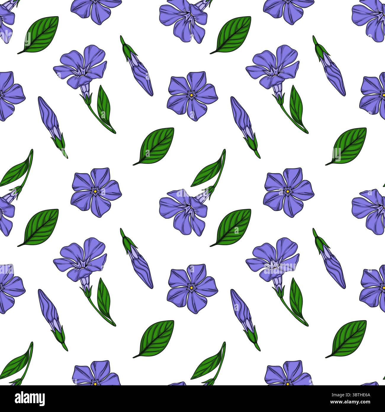 Showcasing elegant flowers Stock Vector Images - Alamy