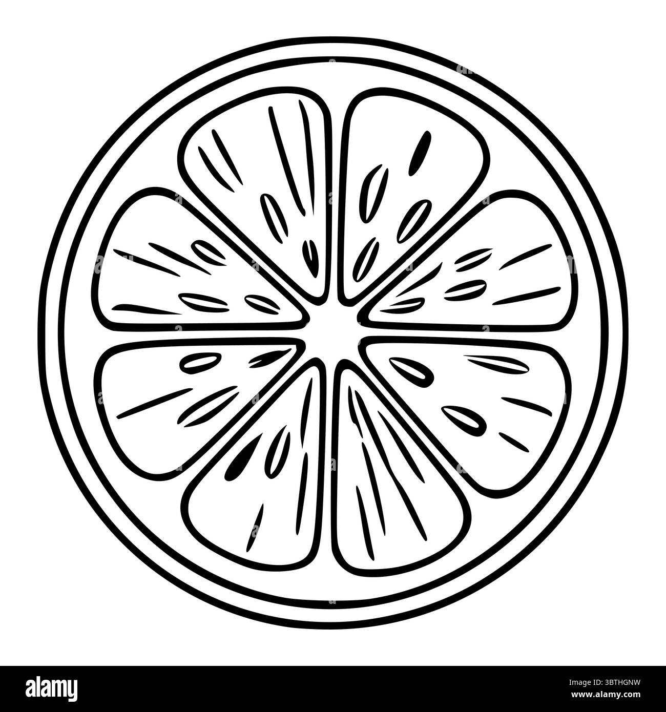 Vector illustration of a stylized citrus fruit slice, featuring a hand ...