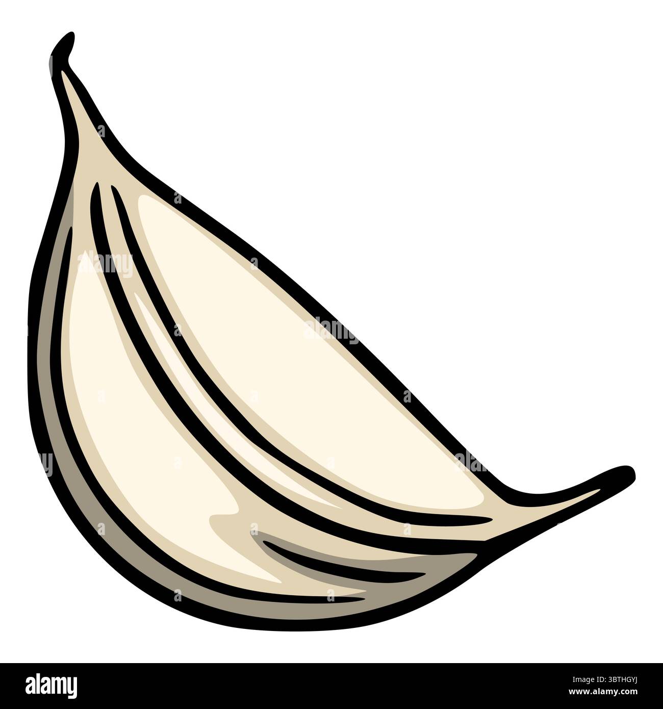 A vector illustration of a single clove of garlic, depicted in a hand ...